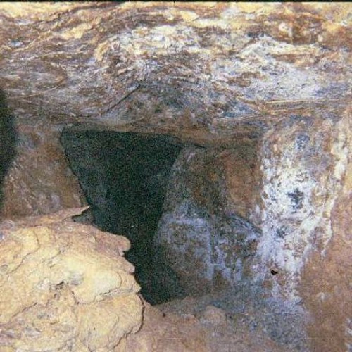 Stream episode Ted The Caver Part One by Dyslexic Reads Horror podcast ...