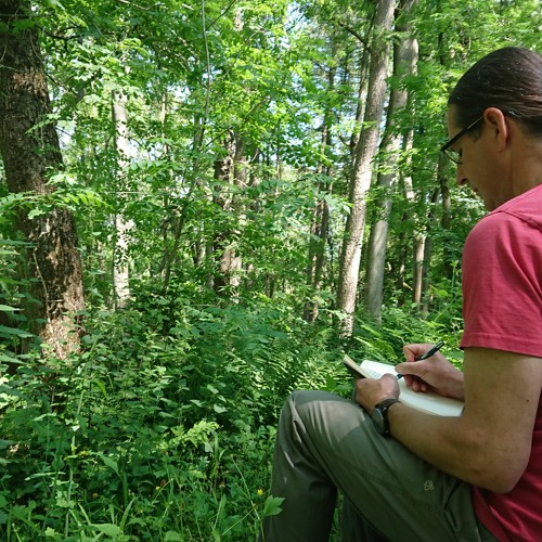 Stream Why Connect To Nature? - Clip by boutique recording | Listen ...