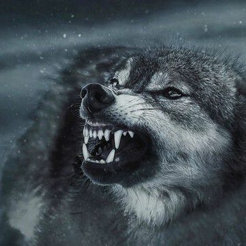 Stream DIRTY REDD- STORM TROOPER by Dirty Redd | Listen online for free ...