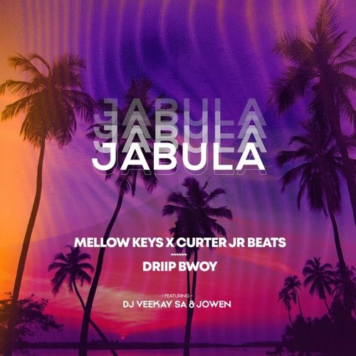 Stream JABULA by Driip Bwoyy | Listen online for free on SoundCloud