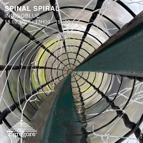 Stream indigoblue - spinal spiral (Février 2025) by Egregore Collective ...