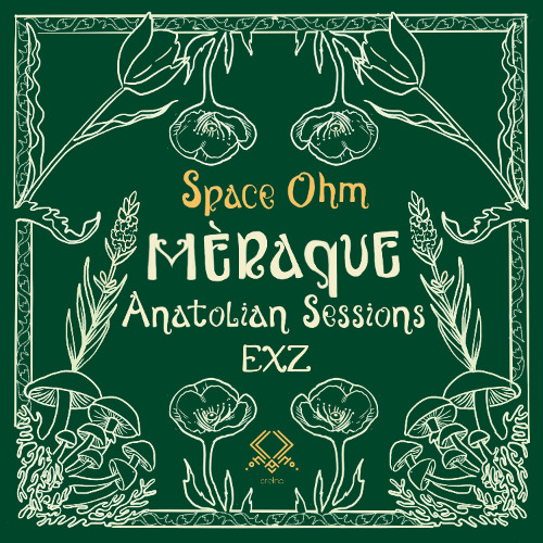 Stream Meraque - Space Ohm (Anatolian Sessions Remix) by Eretna ...