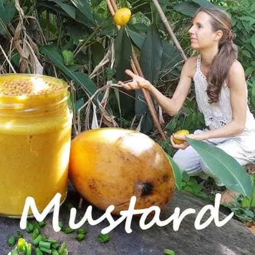 Stream mango mustard 67 (ft. dktherium) by a_random_guy_ | Listen ...