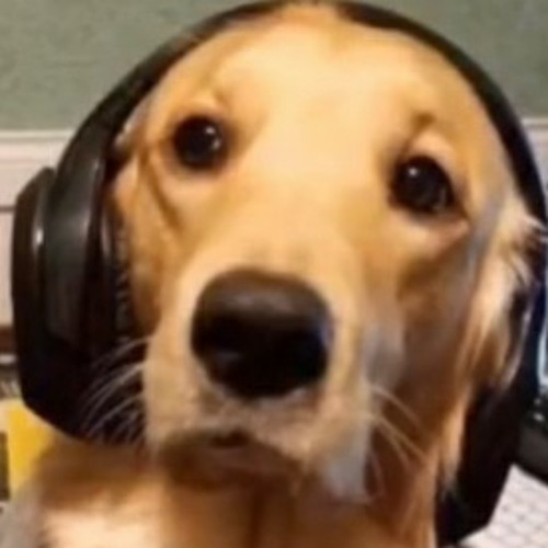 Stream Gamer Dog by YaBoiMaze | Listen online for free on SoundCloud