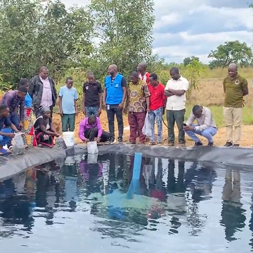 Stream JARIDA LA HABARI ZA UN 26 JUNI 2025 NA ANOLD KAYANDA by UN News ...