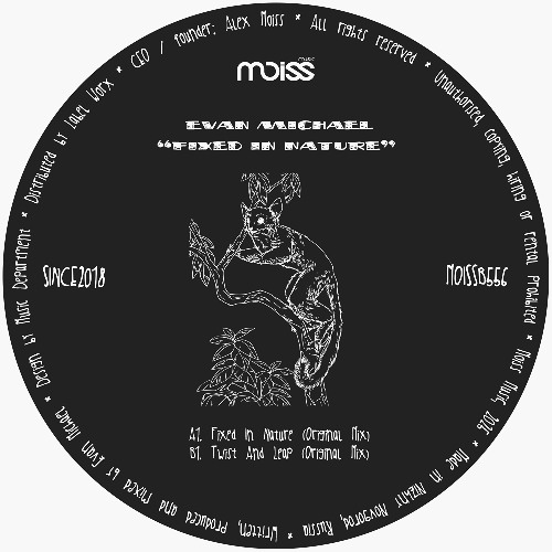 Stream Evan Michael - Fixed In Nature (Original Mix) by Moiss Music ...