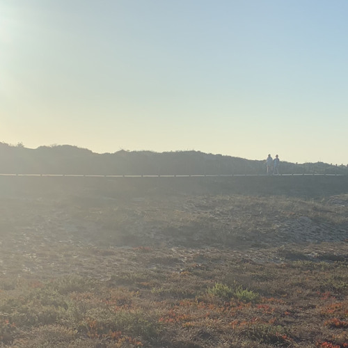 Stream Agemo Official Soundtrack - Elapsed Heat by IGI_PTM | Listen ...