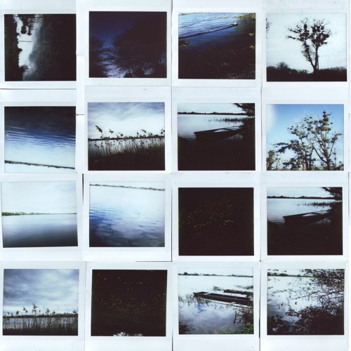 Stream 01. Yarn - Pine Tree (original Version) by DERBASTLER | Listen ...