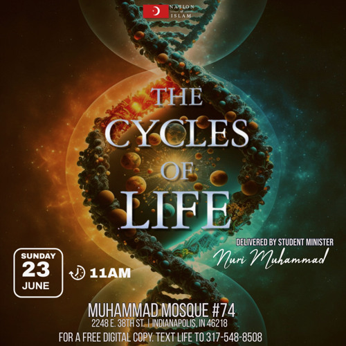 Stream THE CYCLES OF LIFE by NURI MUHAMMAD | Listen online for free on ...