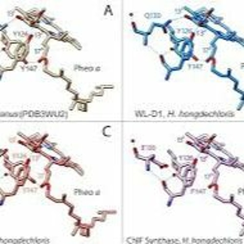 Stream Y161 Marina Collection by Persrulimo | Listen online for free on ...