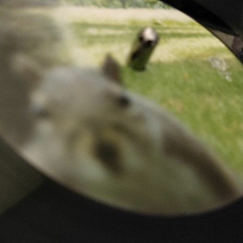 Stream DJDHD - Megaton Mantra by Entropica | Listen online for free on ...