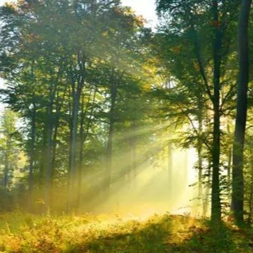 Stream Lifter Demo By Patrick Swigart Listen Online For Free On