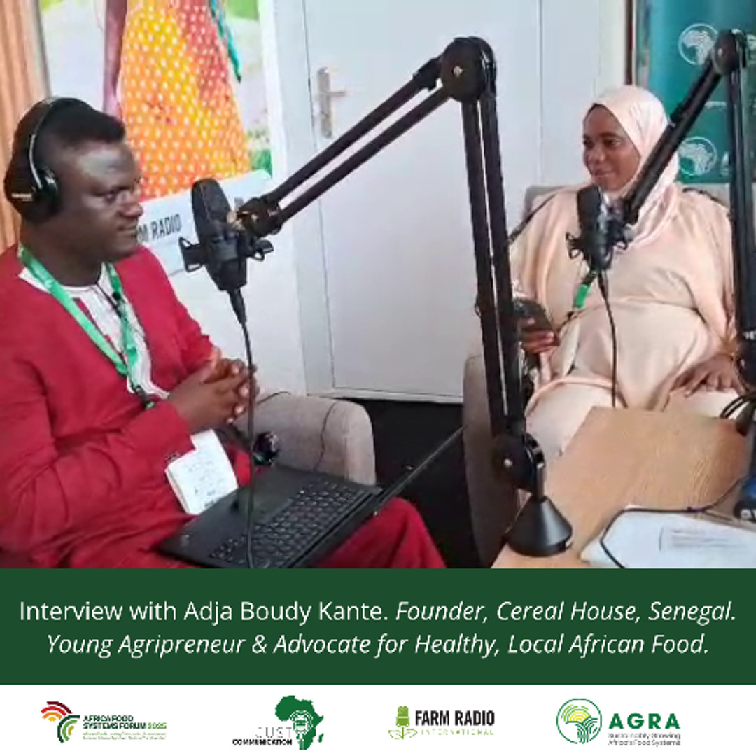 Stream Interview with Adja Boudy Kante. Founder, Cereal House, Senegal ...