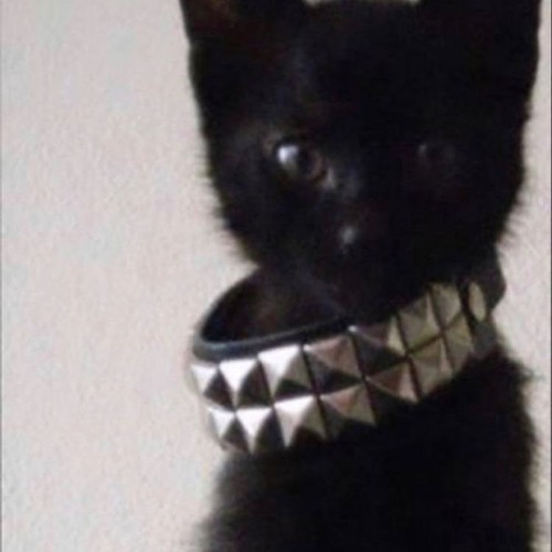 Stream Digital love💕 by Adrixn! | Listen online for free on SoundCloud