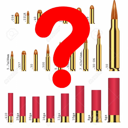 Stream Gunshot help Identify gun type crime scene Gunfire single shot ...