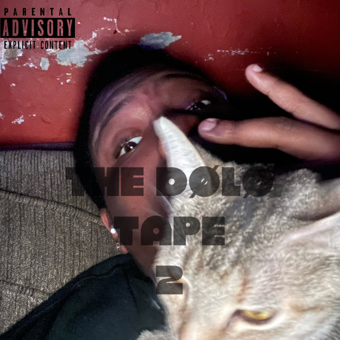 Stream DOLO VON ( @dolovon.1) | Listen to THE DØLØ TAPE 2 playlist ...