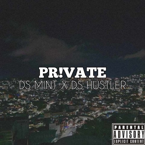 Stream DS MINT X DS HUSTLER - PRIVATE (PROD. COLD MELODY) by Mint ...