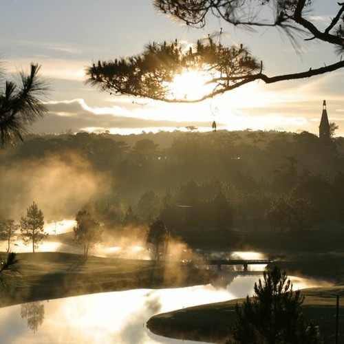 Stream Dalat mùa sương - [nhạc Quỳnh Hợp - thơ Quy Quy]- Bào Ngư by Ha ...