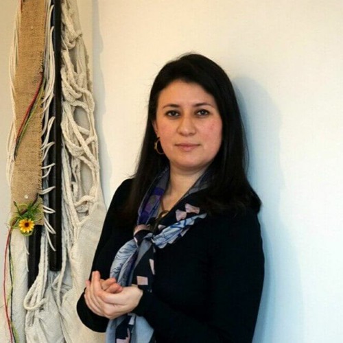 Stream Epidemióloga Zulma Cucunubá (Imperial College) en Radio RCN by ...