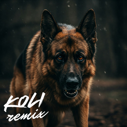 Stream Ju Ben - Koli (DarXidE Remix) by DarXidE MZK | Listen online for ...