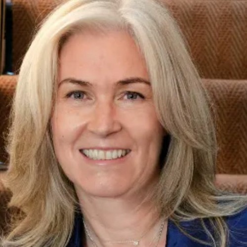 Stream episode Paula Owen on the Little Brown Dog, telling history, and ...