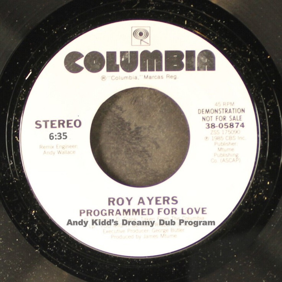 Stream Programmed For Love (Andy Kidd's Dreamy Dub Program) by ...
