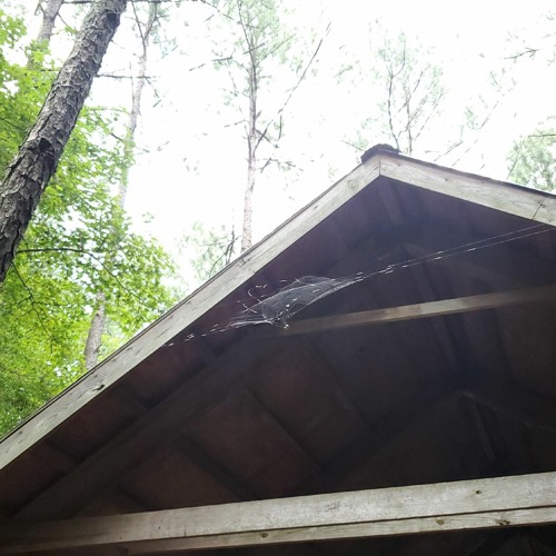 Stream Sunflower Eyes Insturmental (demo) by Anthony Lovelace | Listen ...