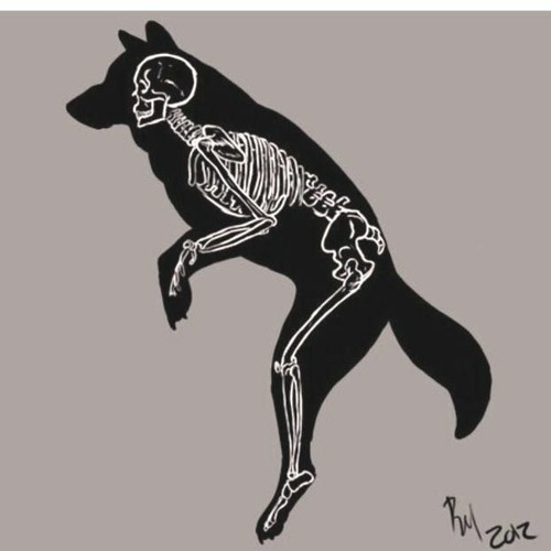 Stream Legacy⛤ (It/him) | Listen to Quadrobics/therian playlist!🐾🌷🌳 ...