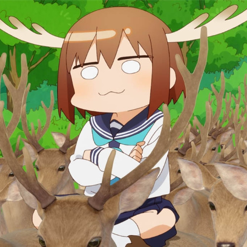 Stream Meme Bashame, Anko Koshi, Noko Shikanoko, Torako Koshi ...