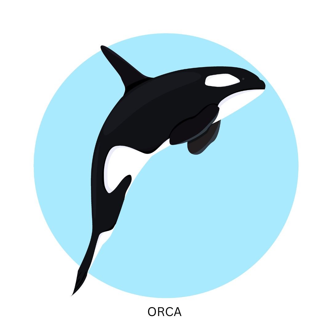 Stream Sounds of the Great Orca (Digital Master) by Sparrow Haunt ...
