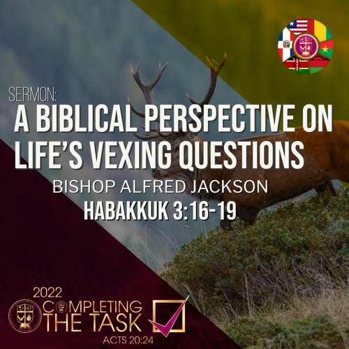 Stream Sermon || A Biblical Perspective on Life's Vexing Questions ...