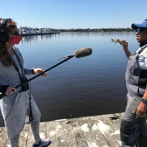 Stream Victoria Hansen RTNDAC Entry 2021 by Victoria Hansen | Listen ...