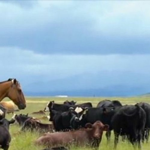 Stream osquinn / p4rkr - Mbn by osquinn (p4rkr) archive | Listen online ...