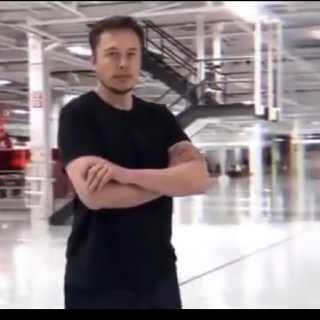 Stream this is elon musk meme.MP4 by Tik:2d9k | Listen online for free ...