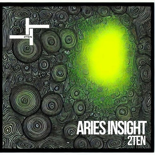 Stream ARIES INSIGHT (JSN DETROIT NIGHT MIX) by 2TEN | Listen online for free on SoundCloud