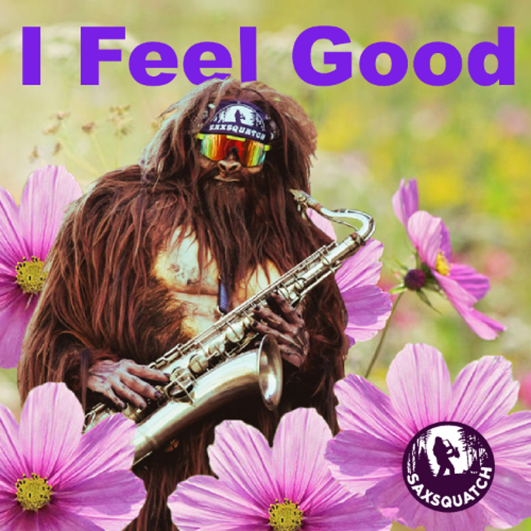 Stream I Feel Good by Saxsquatch | Listen online for free on SoundCloud