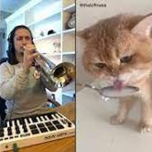 Stream The Kiffness X NumNum Cat (Live Looping Balkan Remix) by spicy ...