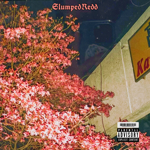 Stream Vivid Prod Lako by SLUMPED REDD | Listen online for free on ...