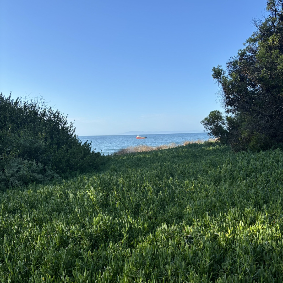 Stream Set Me Free - Armin Van Buuren & SACHA Ultra 2025 LIVE VERSION ...