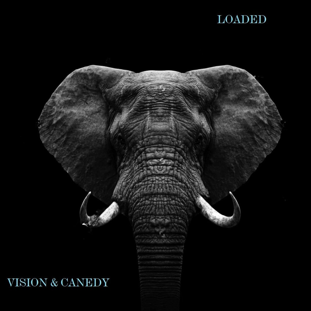 Stream Vision & Canedy - Loaded ''Marc Vision Elephant Remix'' by Marc ...