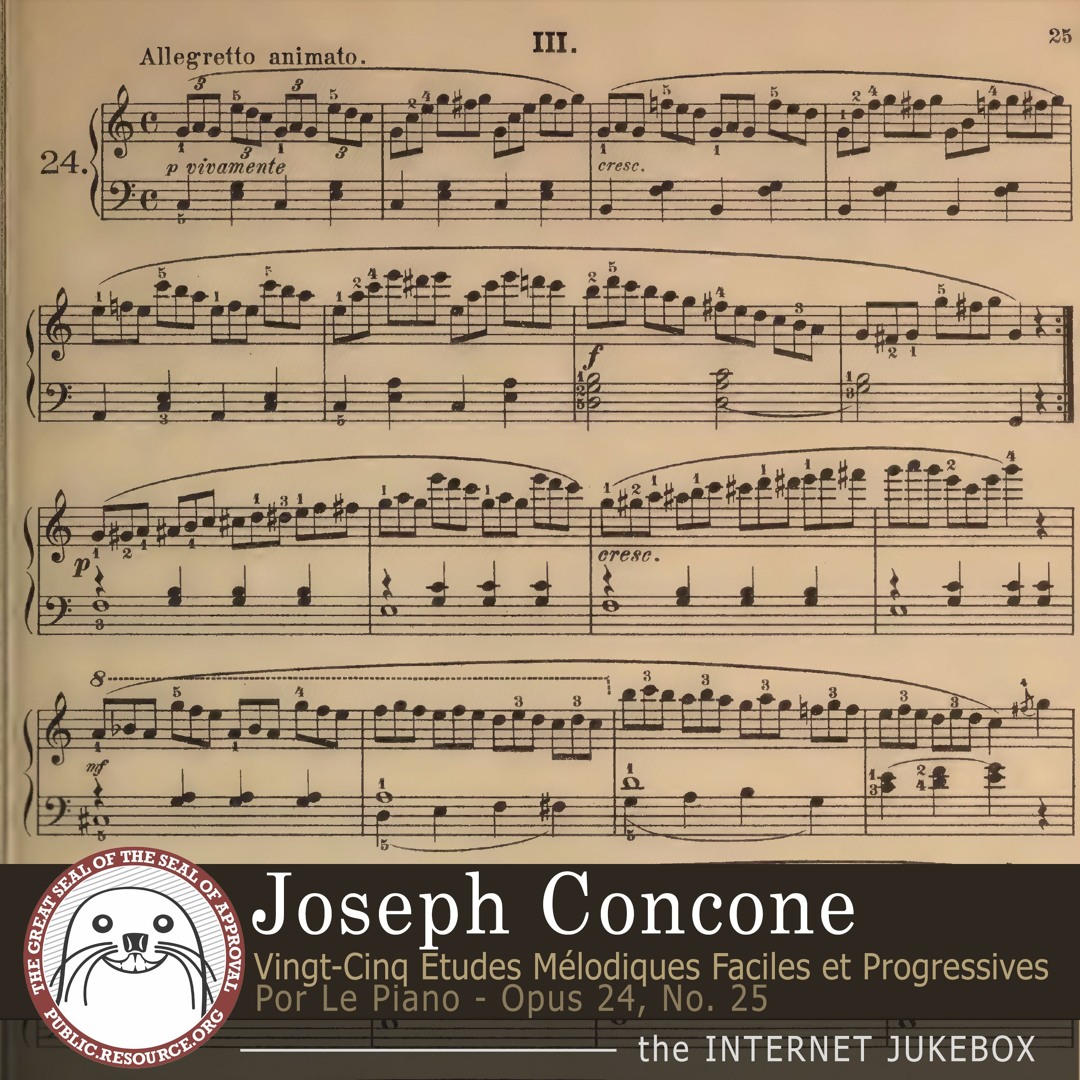 Stream Vingt-Cinq Etudes Mélodiques Faciles et Progressives, Joseph ...