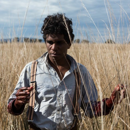 Stream Excerpts from 'Swallows' by Emma Scolaro | Listen online for ...