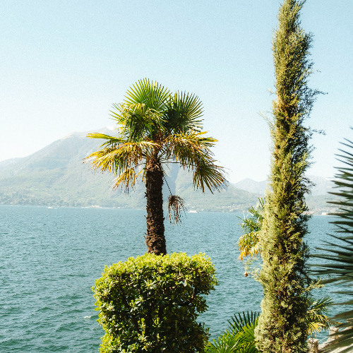 Stream Diane Fleming by Dane Hash | Listen online for free on SoundCloud