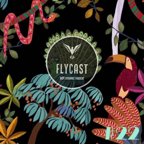 Stream Flycast #22 by Flycast | Listen online for free on SoundCloud