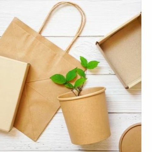 Stream Learn The Amazing Facts About Sustainable Packaging by Eco ...