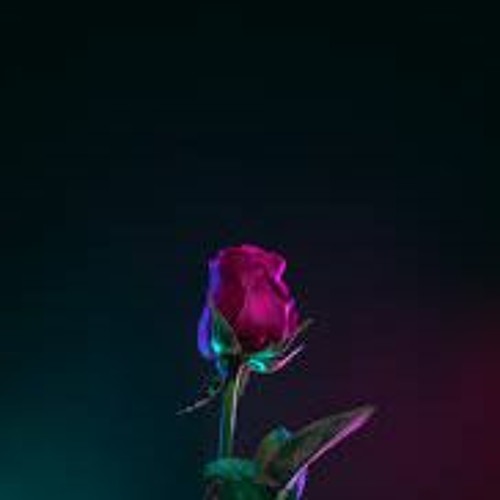 Stream Destini Wilson | Listen to doja cat playlist online for free on ...