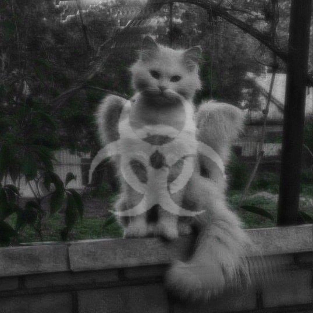 Stream tricky disco × 12 inch (full tiktok remix) (slowed reverb ...