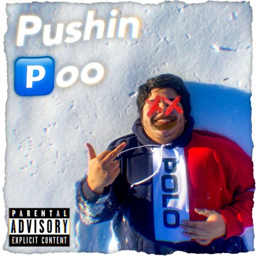 Stream Birdy Does - Pushin Poo {pushin P remix} by Birdy Does | Listen ...