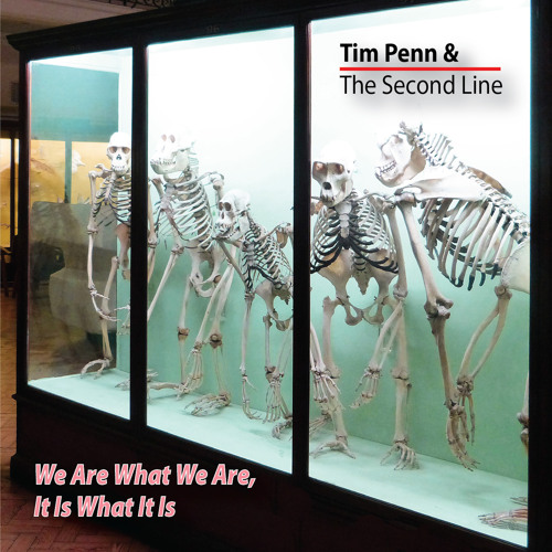 Stream Tim Penn & The Second Line | Listen to We Are What We Are, It Is ...