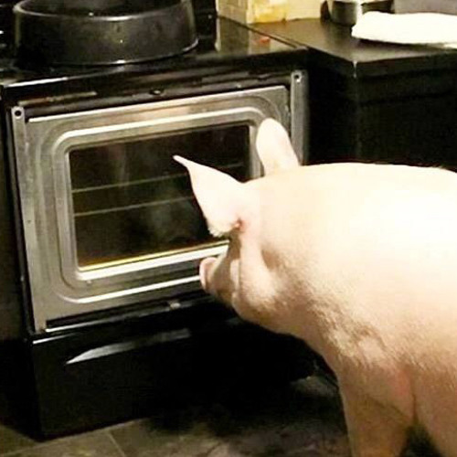 Stream agramane juju fall 2019 audio by 666mane | Listen online for ...